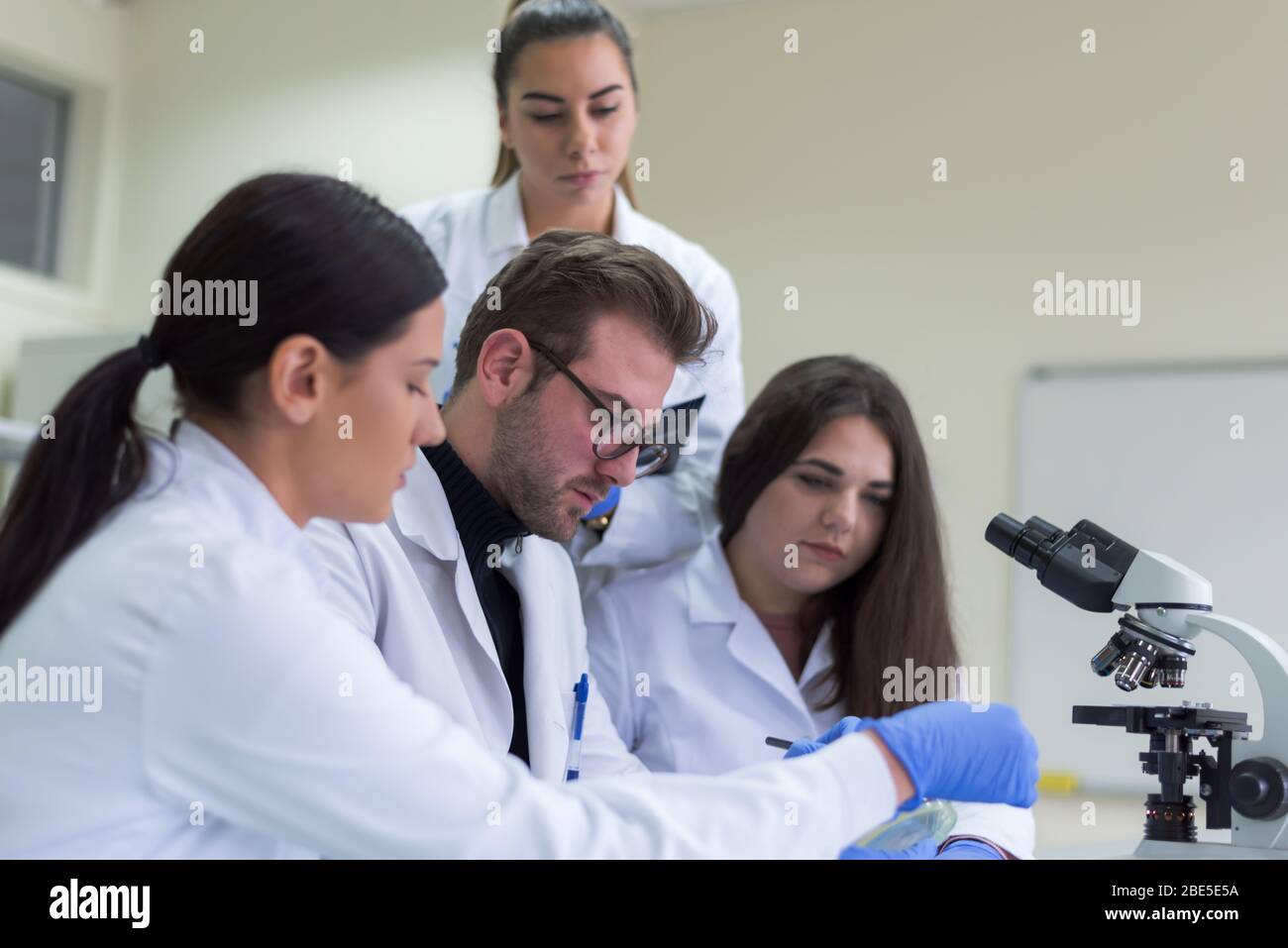 Group of Laboratory scientists working at lab with test tubes, test or ...
