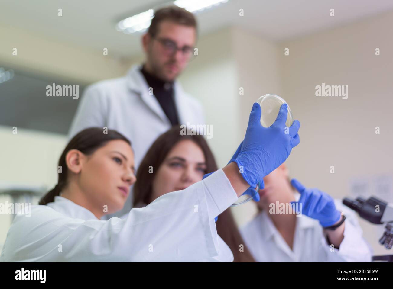 Group of Laboratory scientists working at lab with test tubes, test or ...