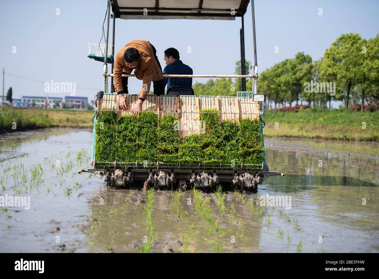 Hunan province rice field hi-res stock photography and images - Alamy