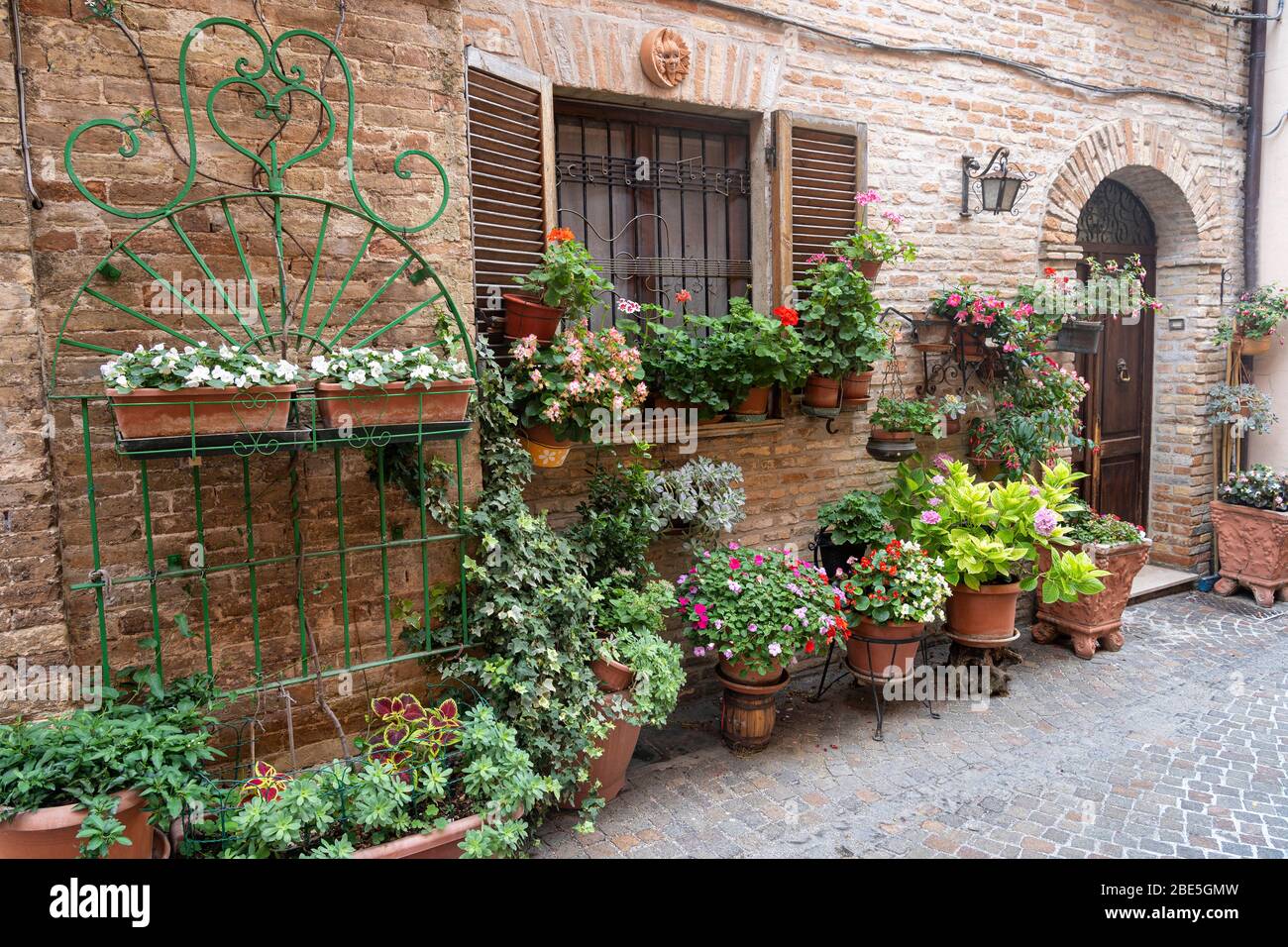 Atri, Teramo, Abruzzo, Italy: exterior of old typical house with plants ...