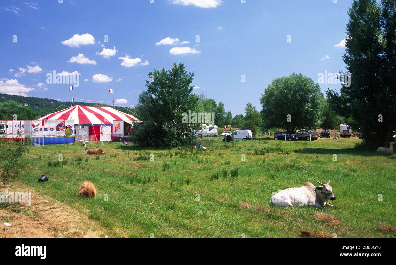 Family circus hi-res stock photography and images - Alamy