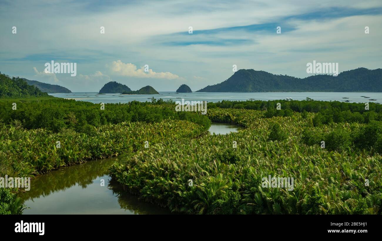 Polluted river surrounded trees hi-res stock photography and images - Alamy
