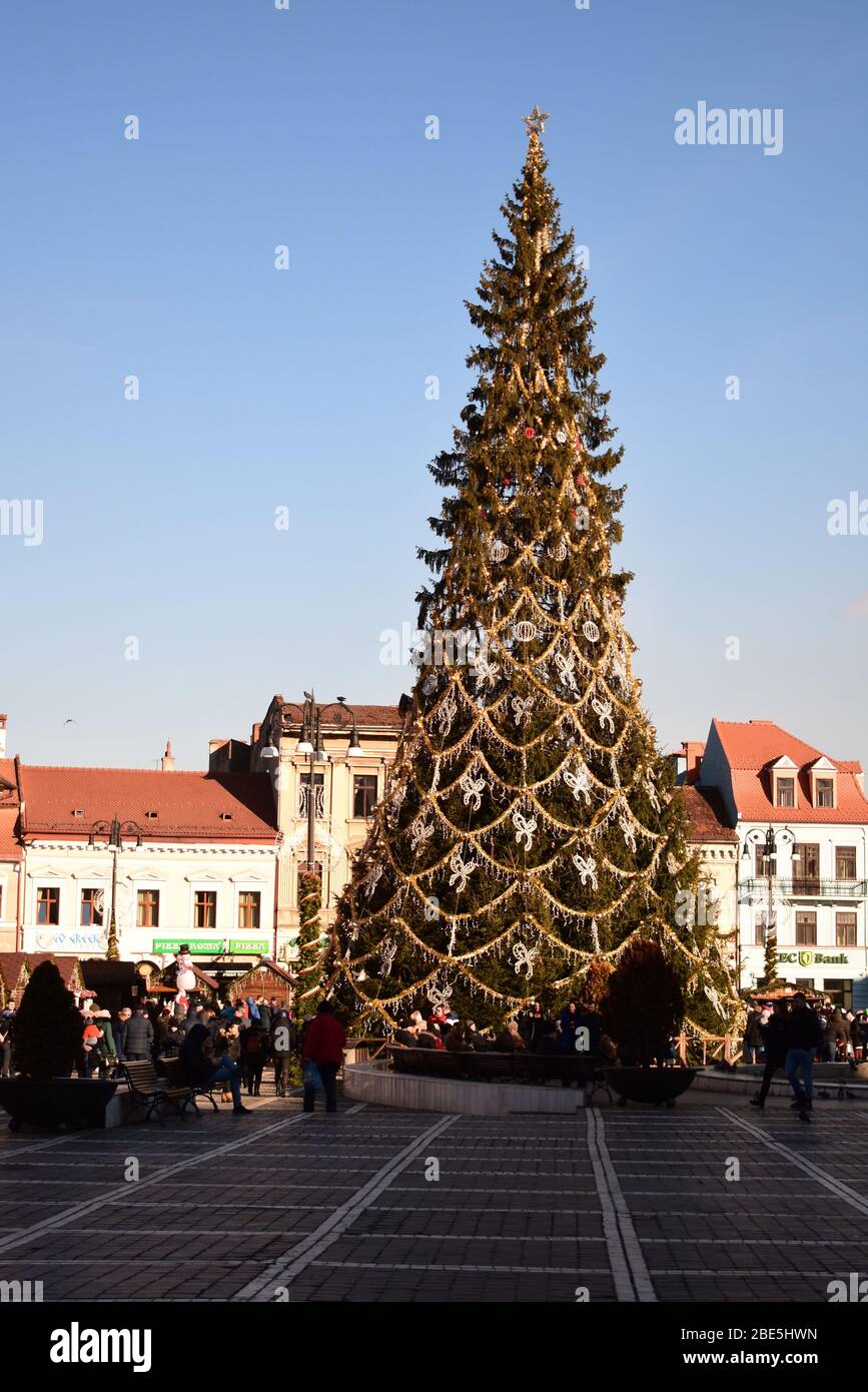 Christmas tree in town square of Brasov Stock Photo - Alamy