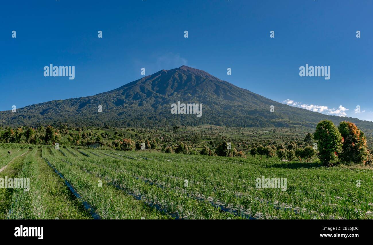 Huge Kerinci Volcano is the highest in south east asia at altitude 3805 ...