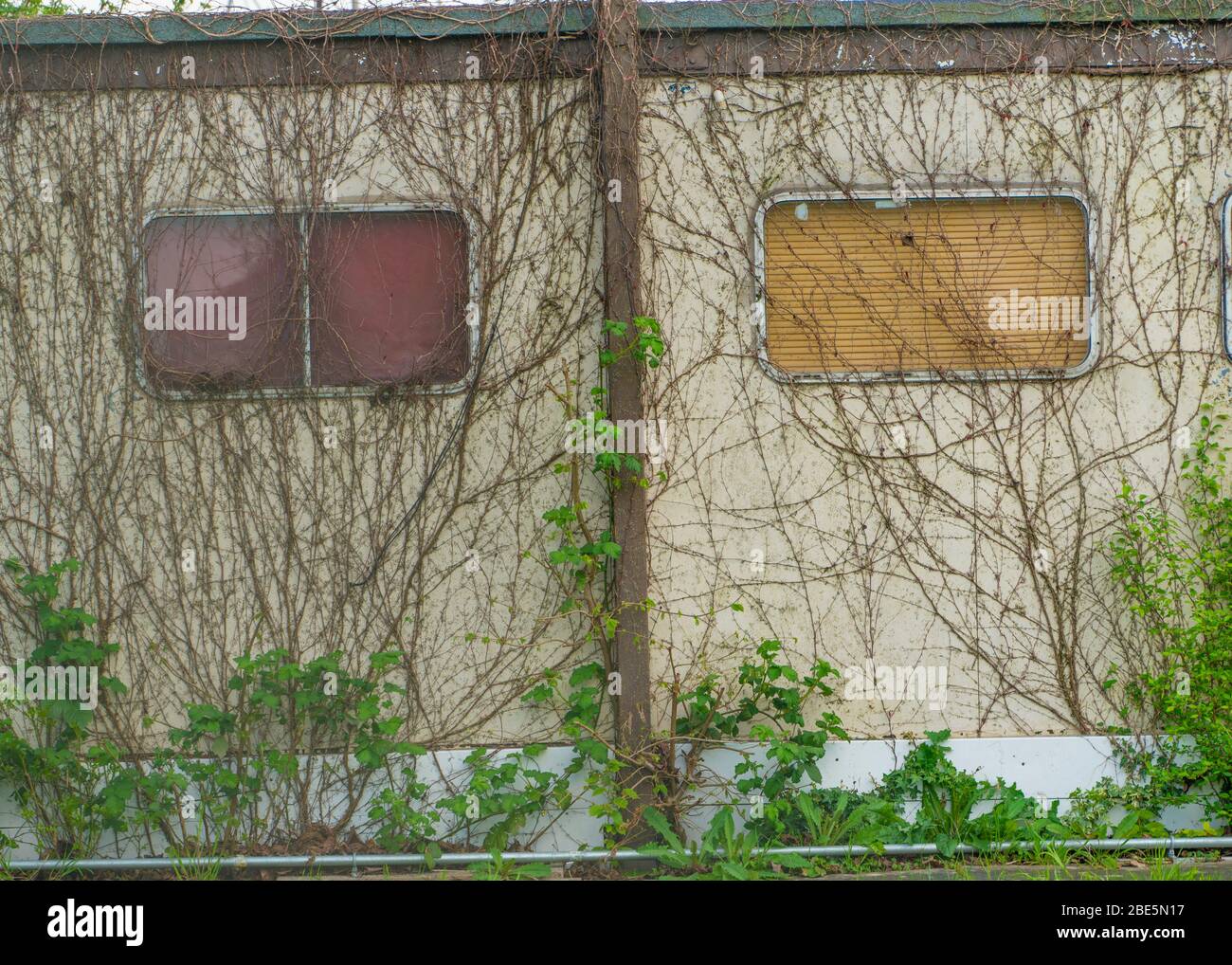 Windows overgrown with plants Stock Photo - Alamy