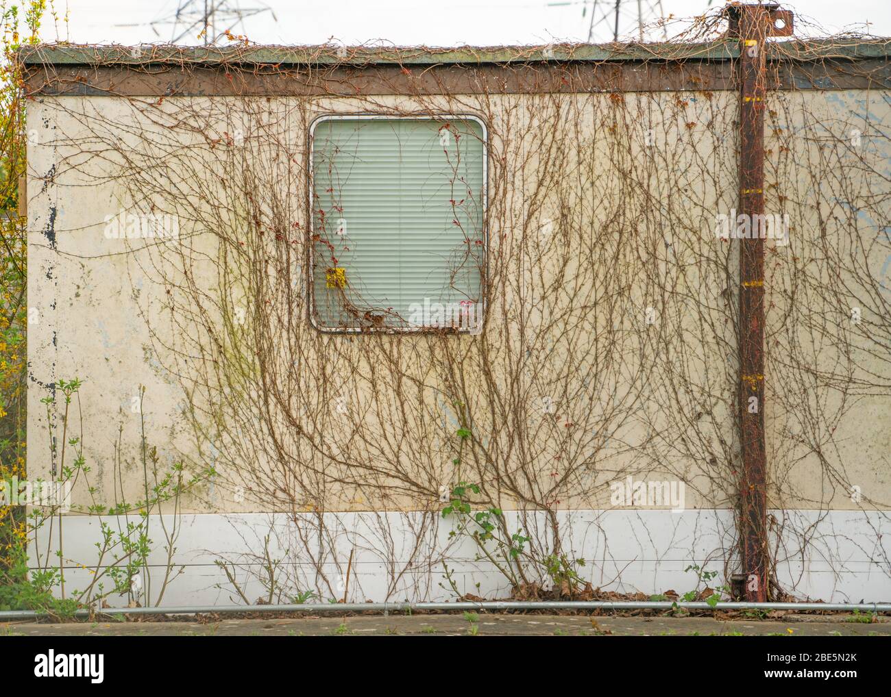 Windows overgrown with plants Stock Photo - Alamy