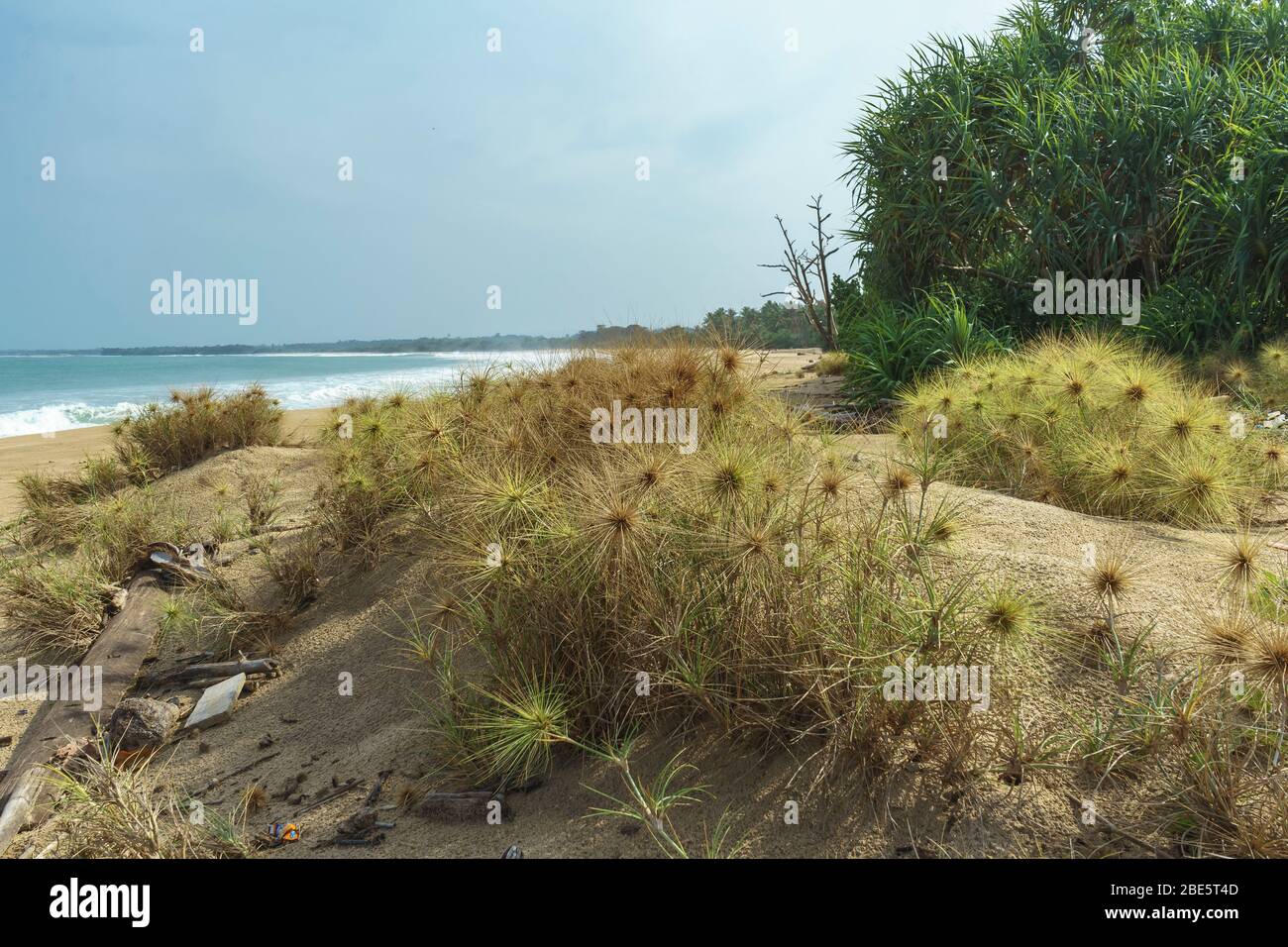 Lampung in Sumatra, Indonesia is perfect destination for wild beach and ...