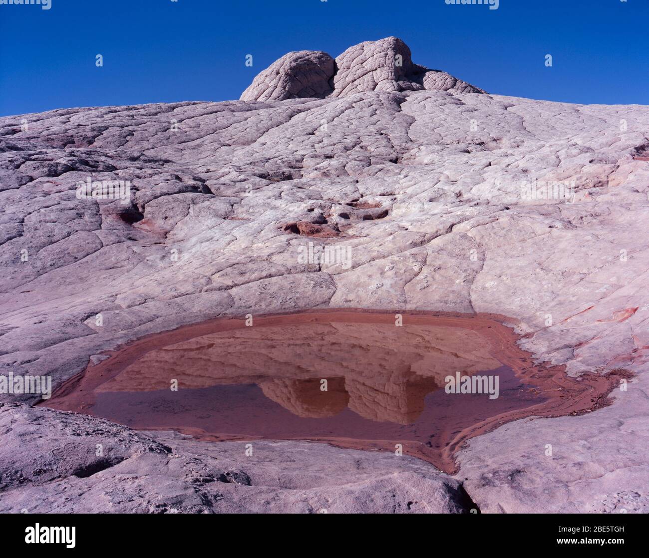 Red Eye Reflection Stock Photo - Alamy