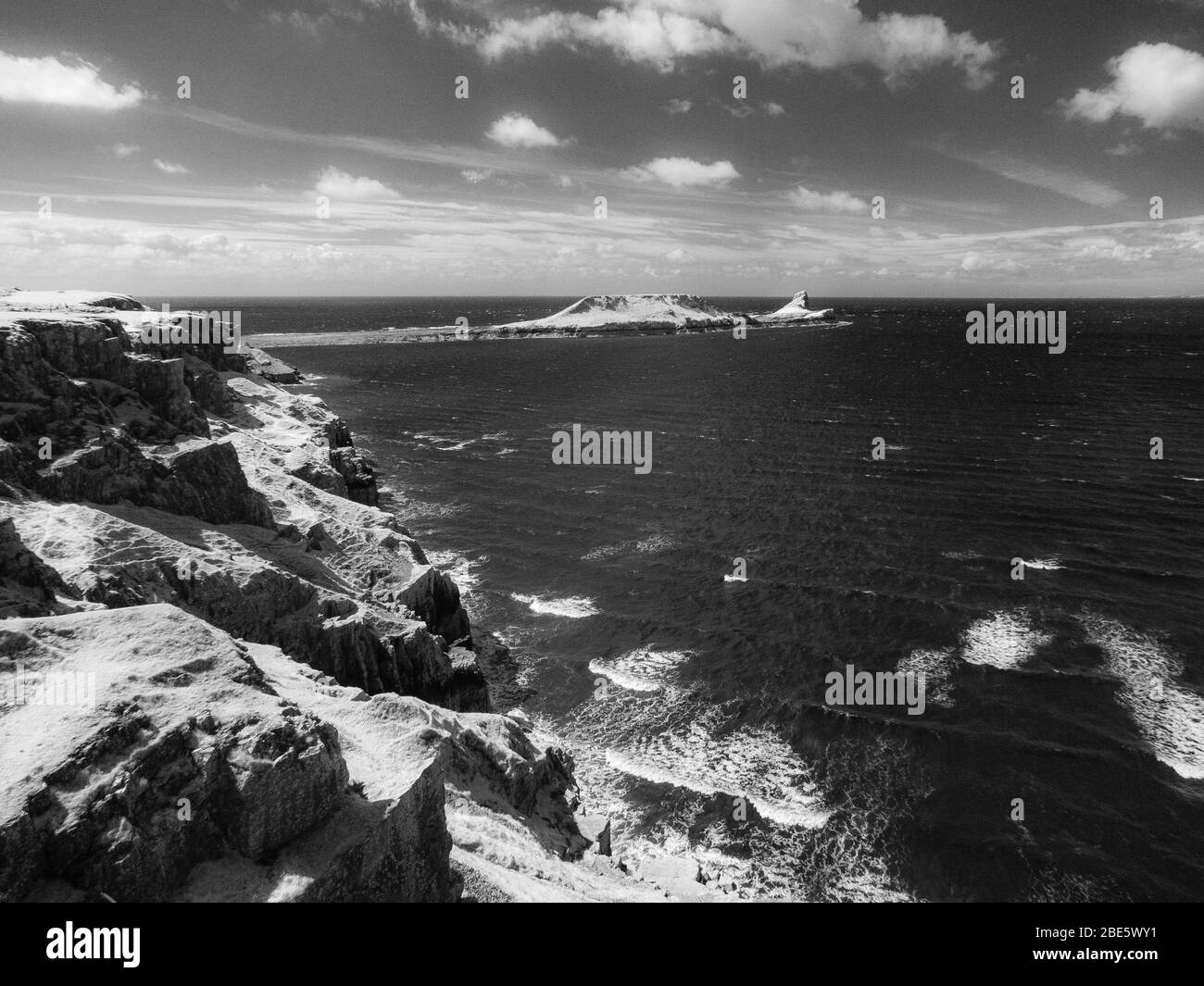 Worms head Black and White Stock Photos & Images - Alamy