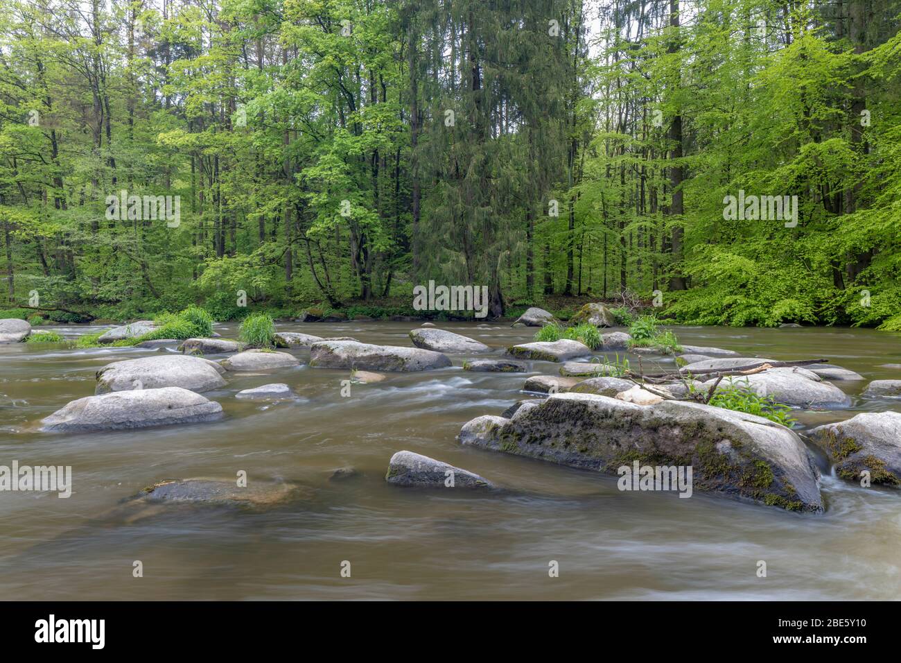 River sazava hi-res stock photography and images - Alamy