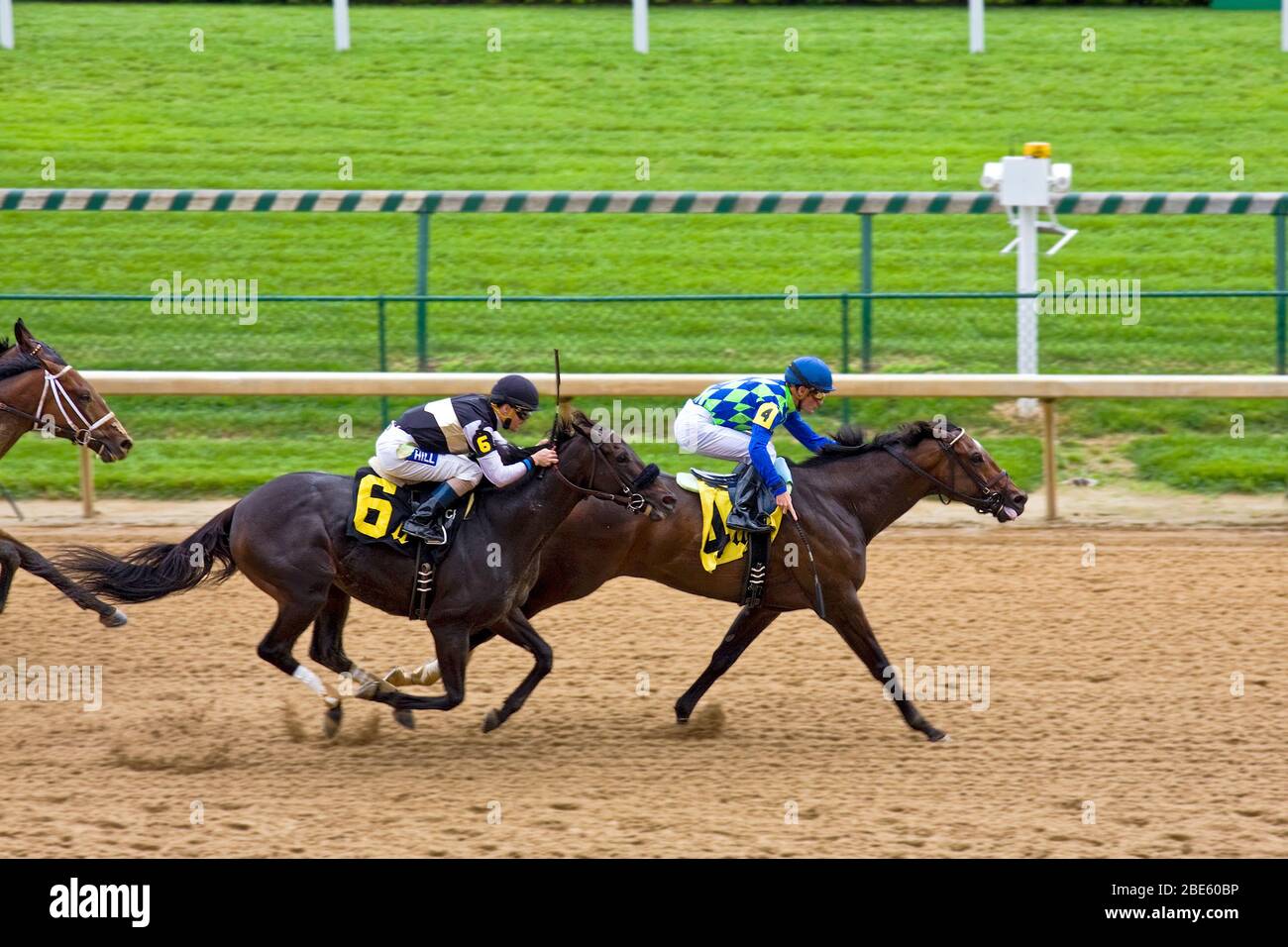 horse race, dirt track, jockeys, dressed in silks, competition, sport ...