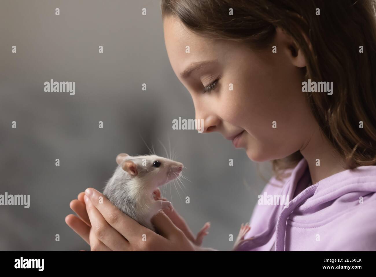 Animal bonding hi-res stock photography and images - Alamy