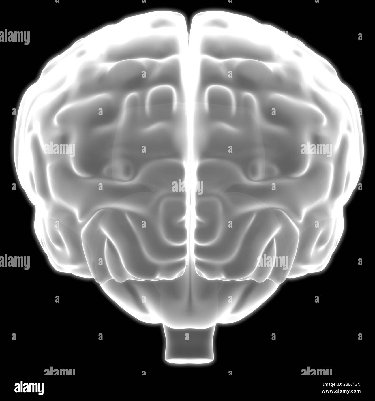 Central Nervous System High Resolution Stock Photography and Images - Alamy