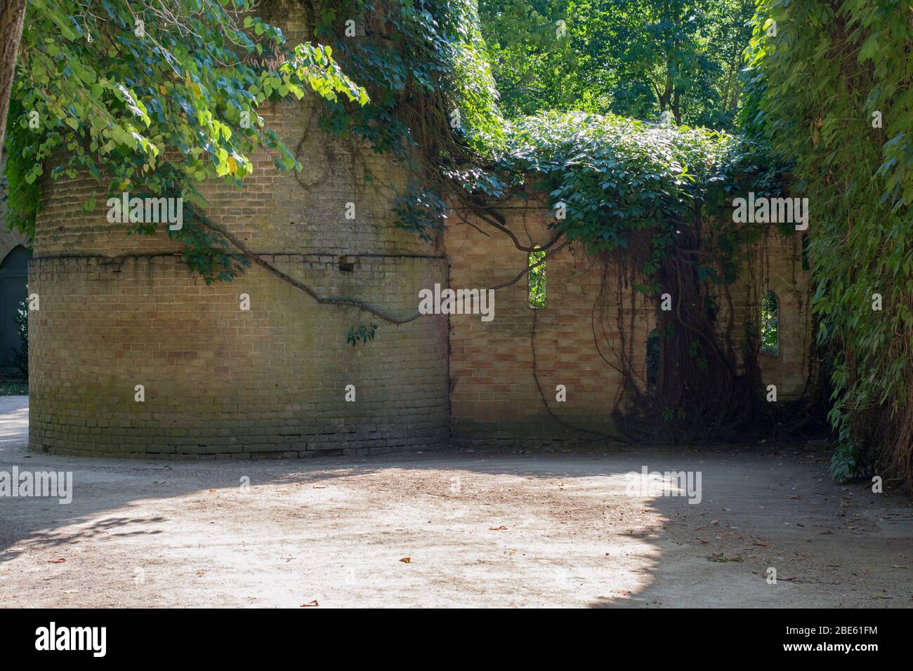Wall of a stone building braided with a green plant Stock Photo - Alamy