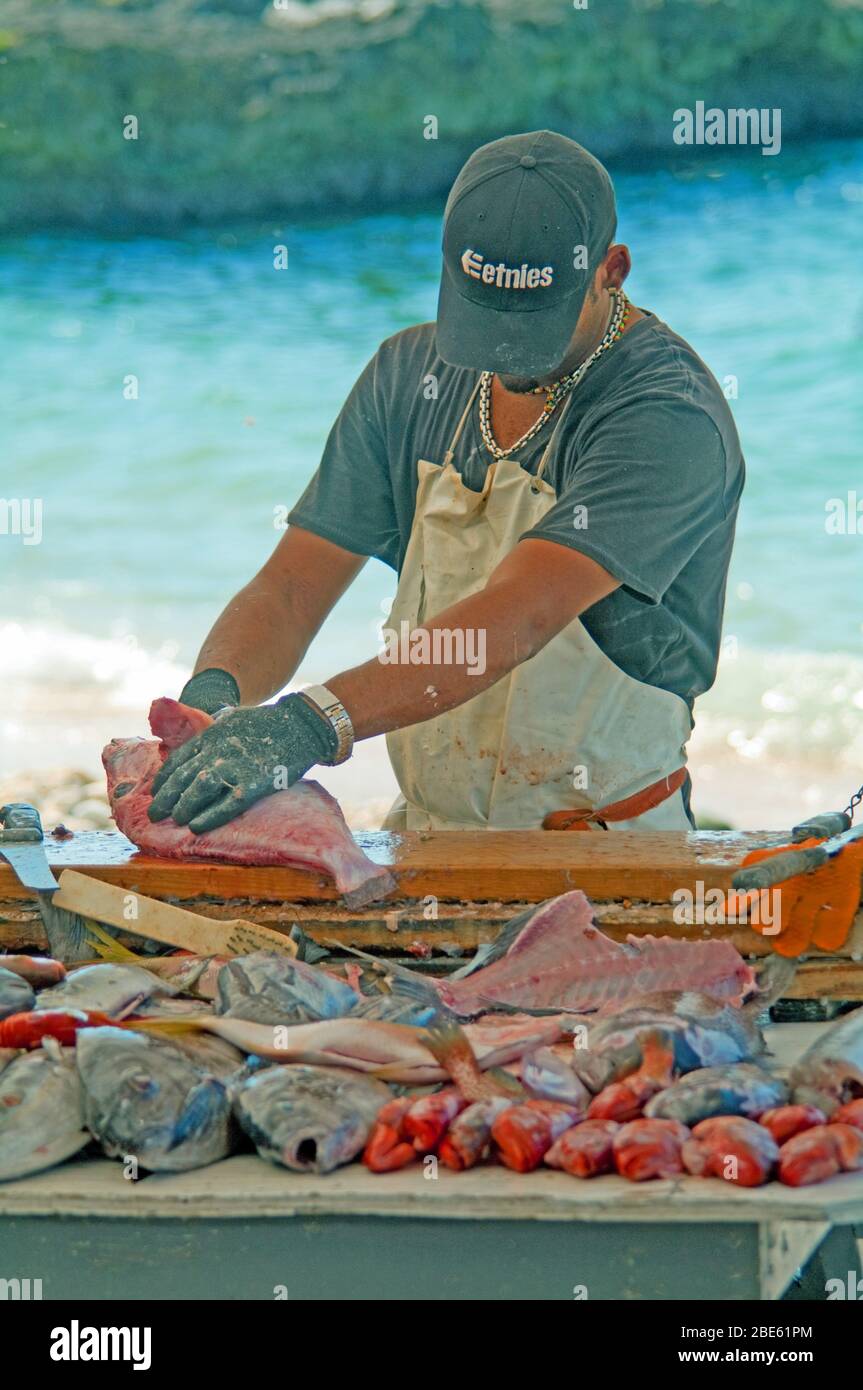 Grand cayman fish market hi-res stock photography and images - Alamy