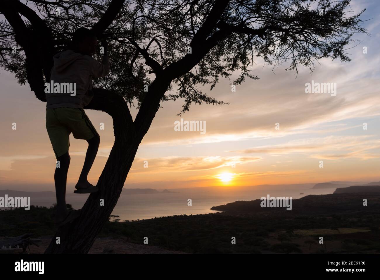 A child climbs an acacia tree at sunset overlooking Lake Shalla, in ...