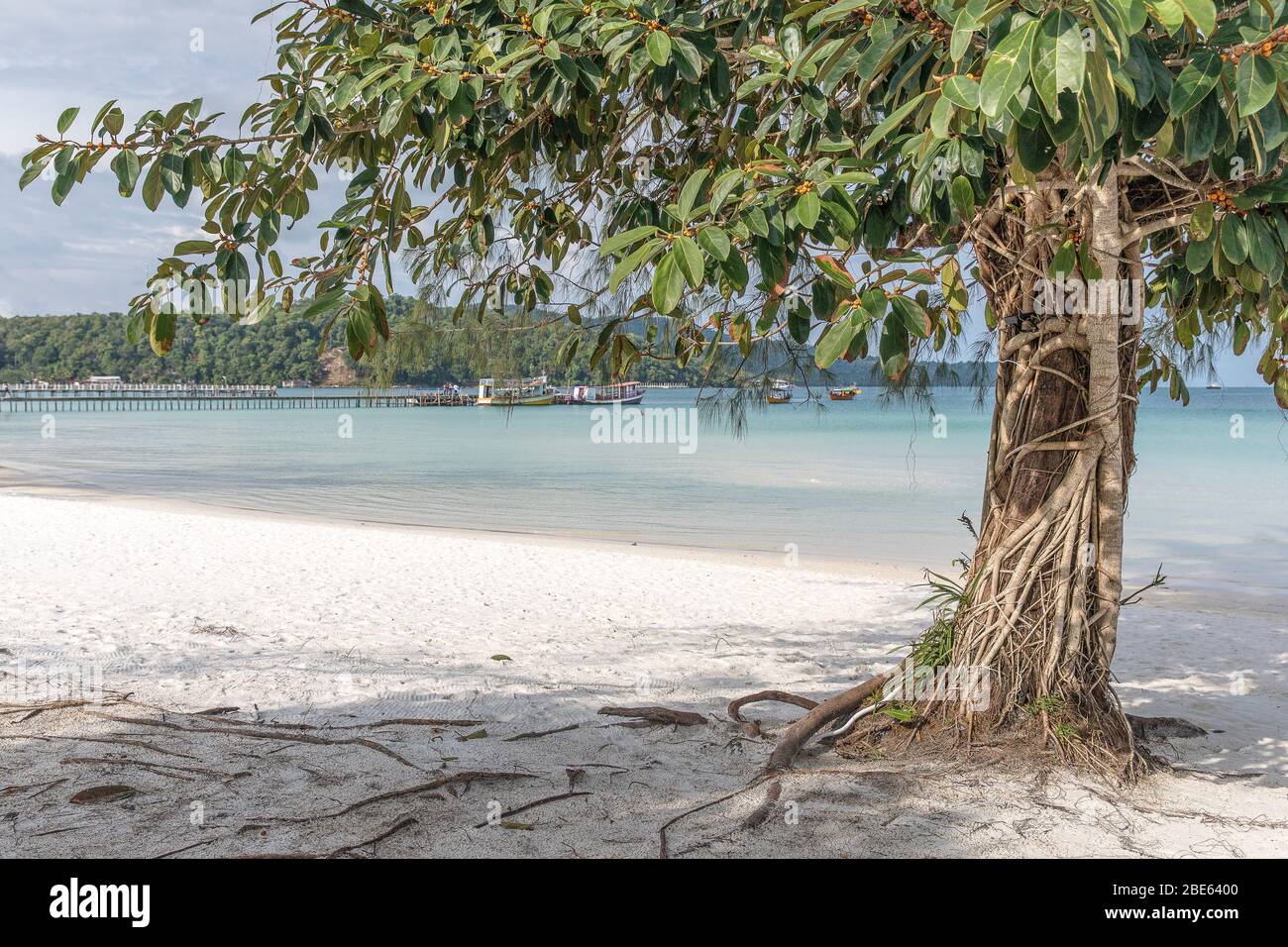 Tropical landscape of Saracen bay beach Koh Rong Samloem island with ...