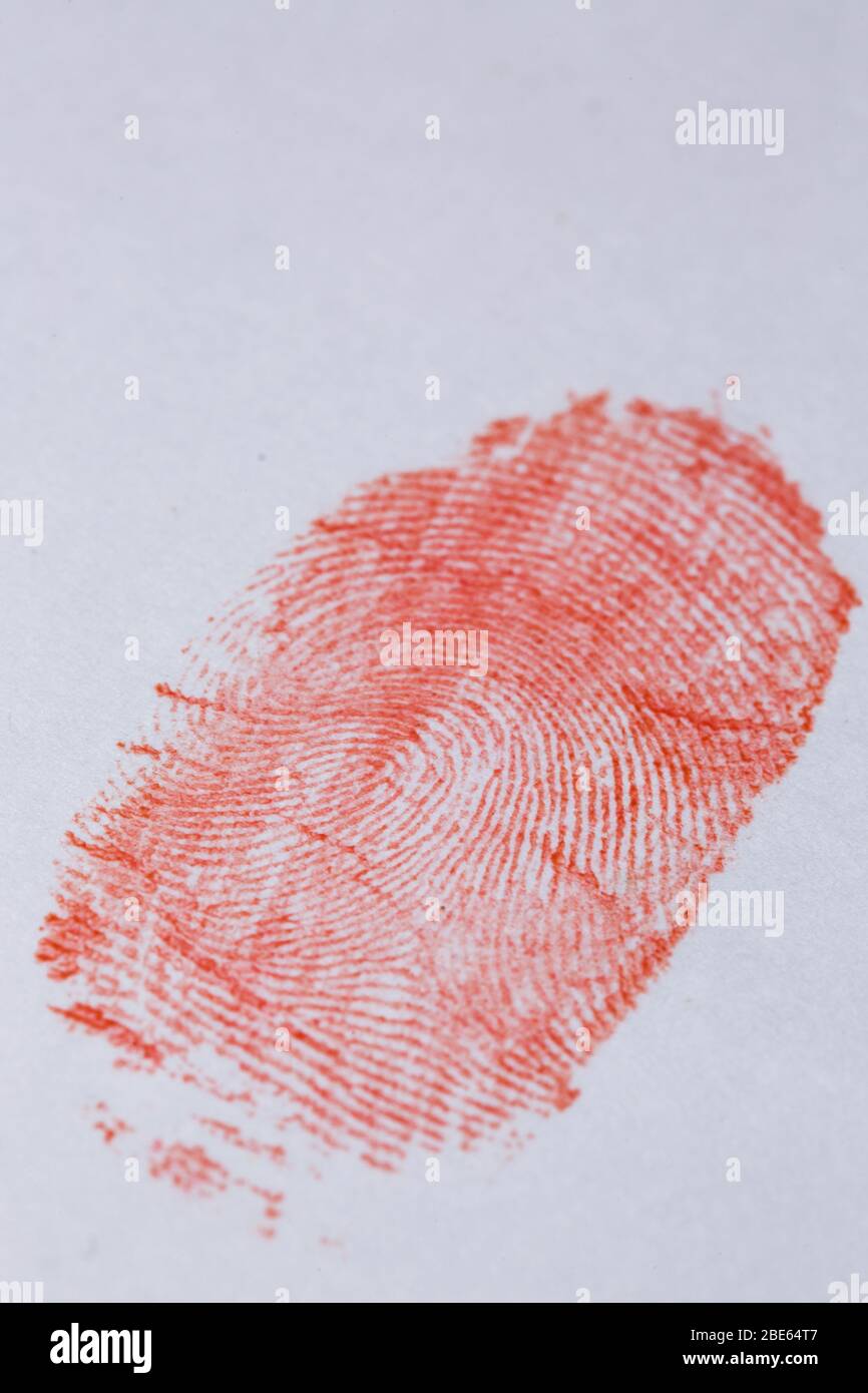 Bloody fingerprint on white background Stock Photo - Alamy