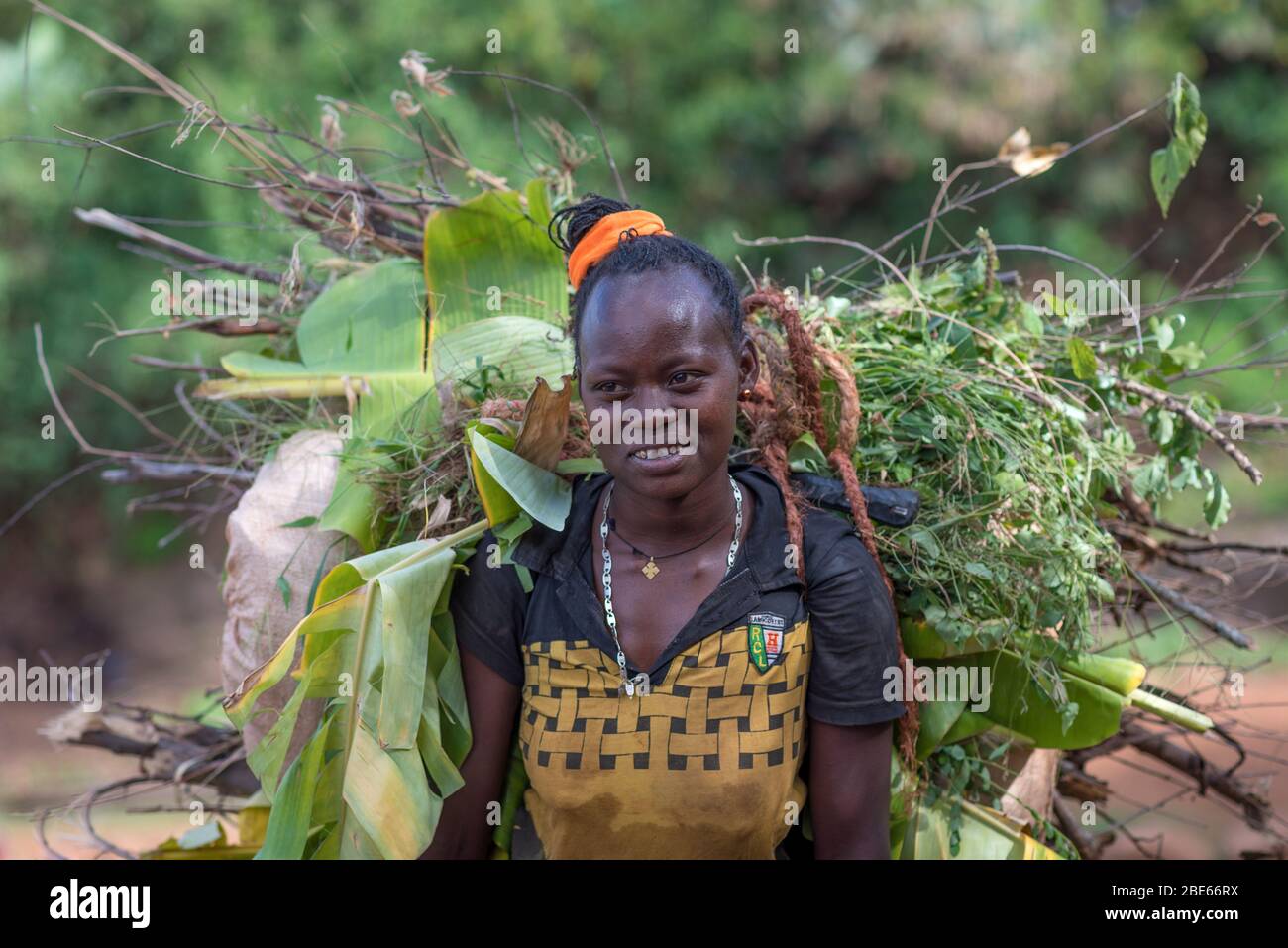 Young woman carries firewood, member of the Konso ethnic group or tribe ...