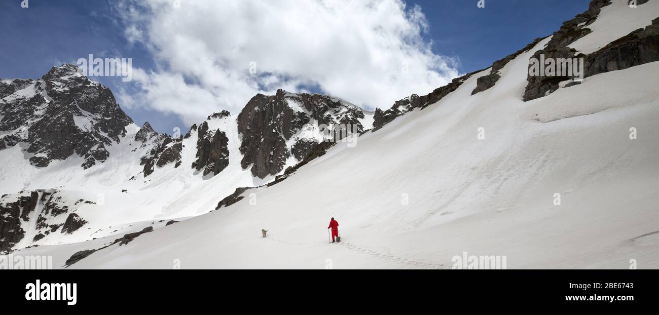 Hiker in snowshoes with dog in high snowy mountain and blue sky with ...