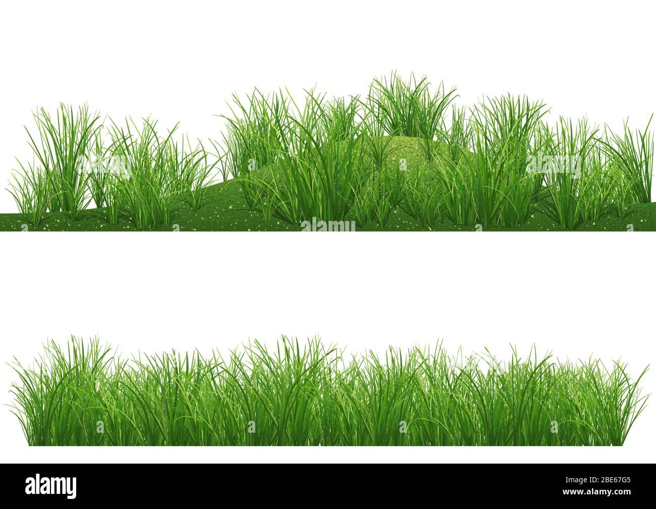 Horizontal grass stem Stock Vector Images - Alamy