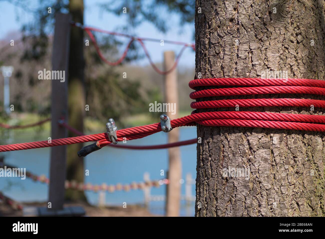 red rope around a tree in an outdoor climbing and adventure park Stock ...