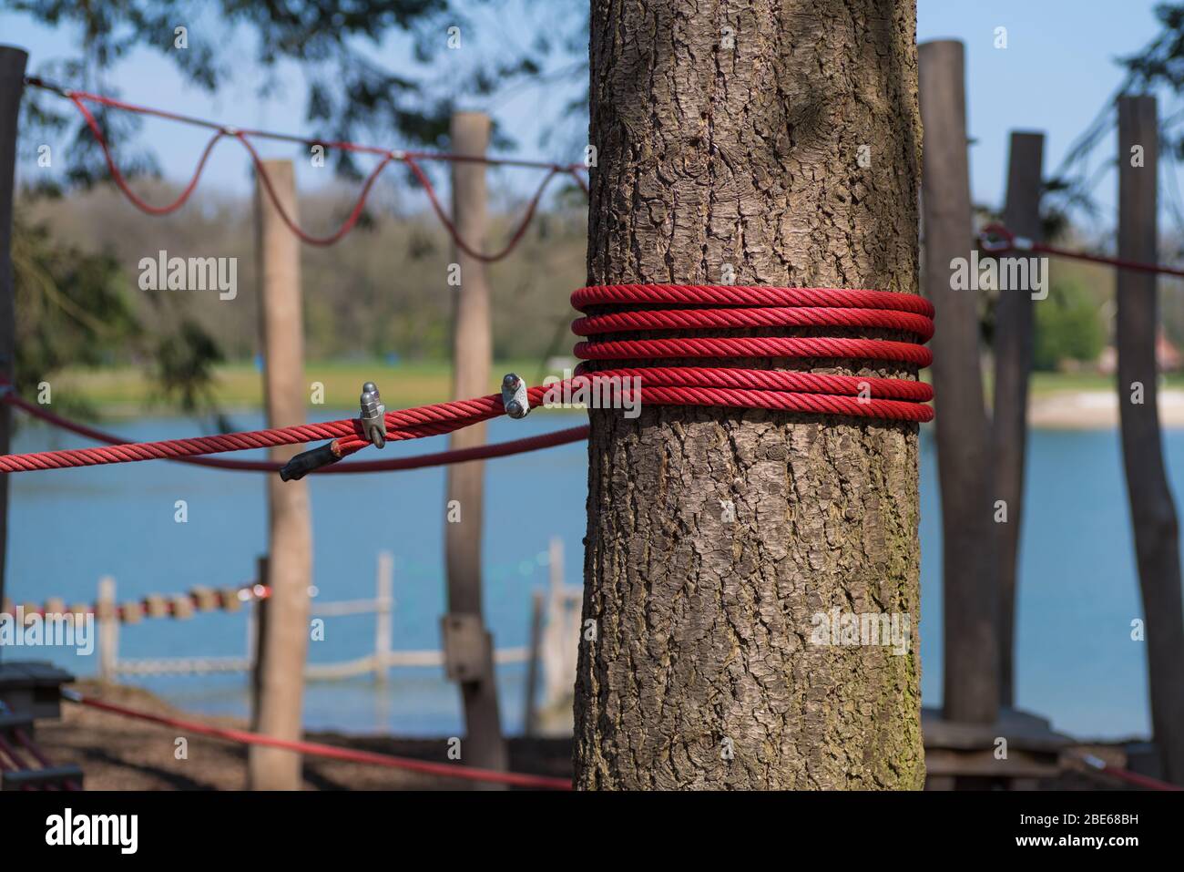red rope around a tree in an outdoor climbing and adventure park Stock ...