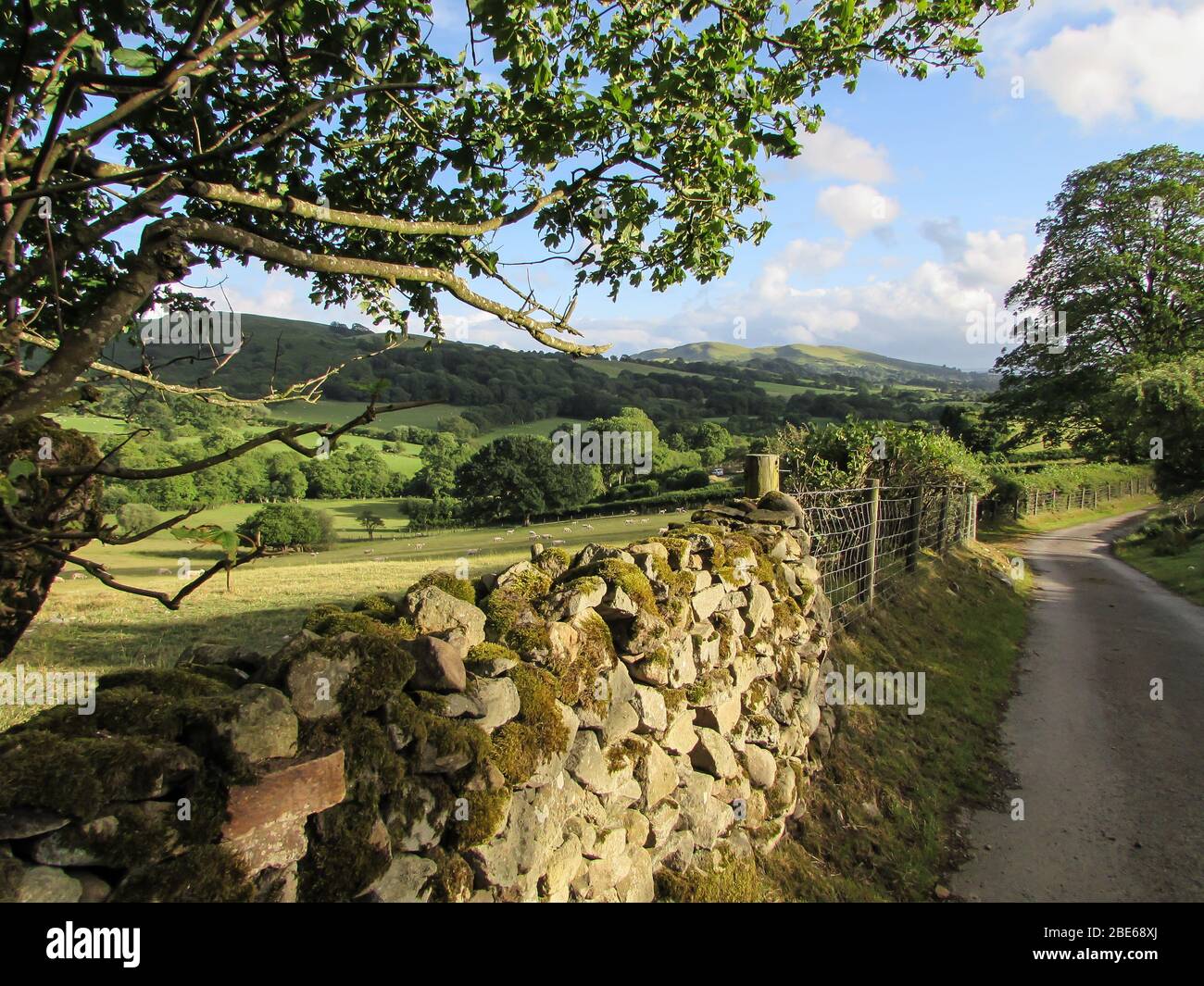 Country lane, mid Wales, Llandrindod Wells Stock Photo - Alamy