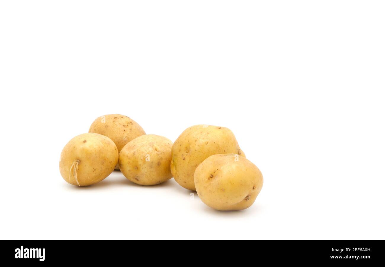 Fresh whole white potatoes photographed on a white background with ...