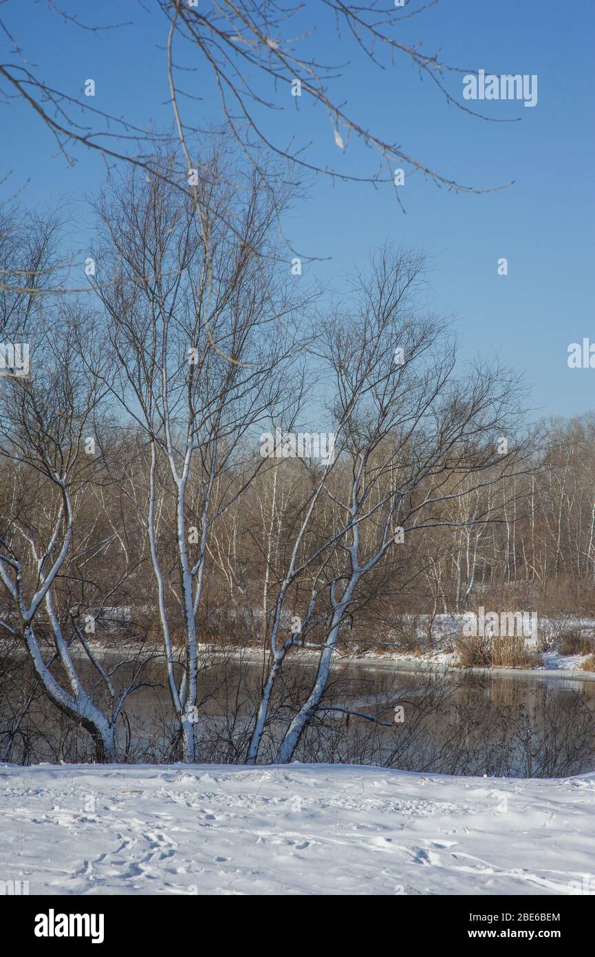 winter river in snowfall. River and nature snow Stock Photo - Alamy