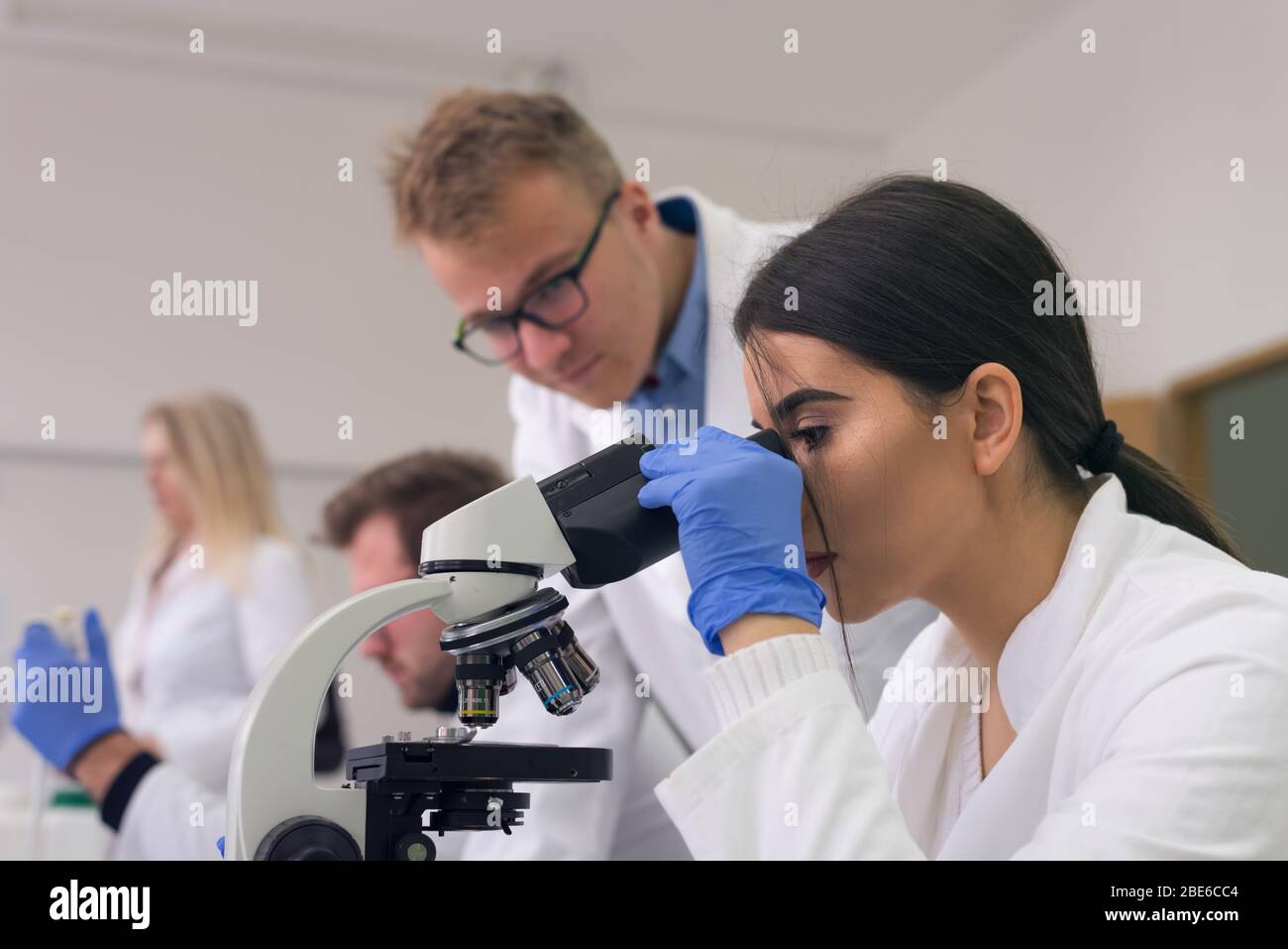 Group of Laboratory scientists working at lab with test tubes, test or ...