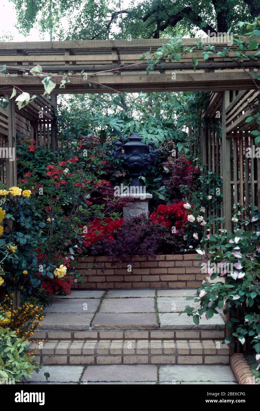 Shallow brick annd paving steps with a pergola with climbing roses and ...
