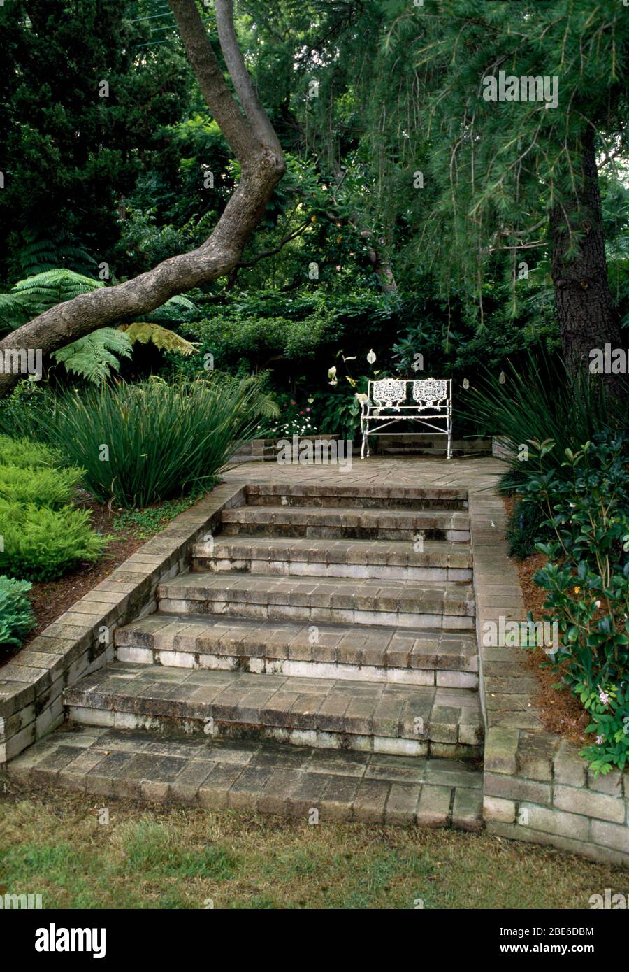 Stone steps up to terrace with white metal bench in lush green garden ...