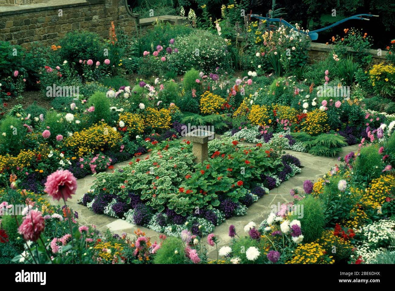 Geraniums lobelia hi-res stock photography and images - Alamy
