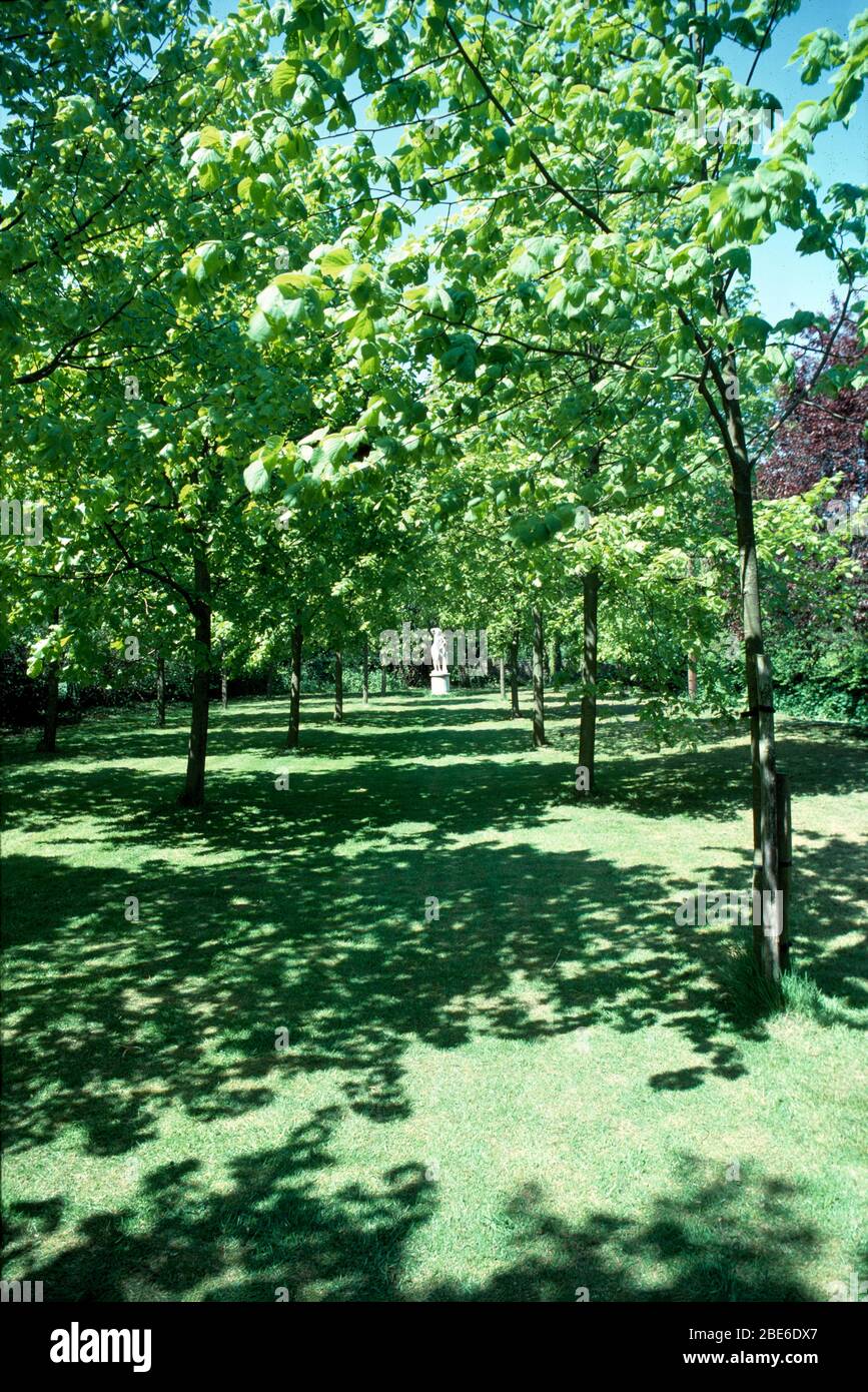 Domestic garden with an avenue of trees hi-res stock photography and ...