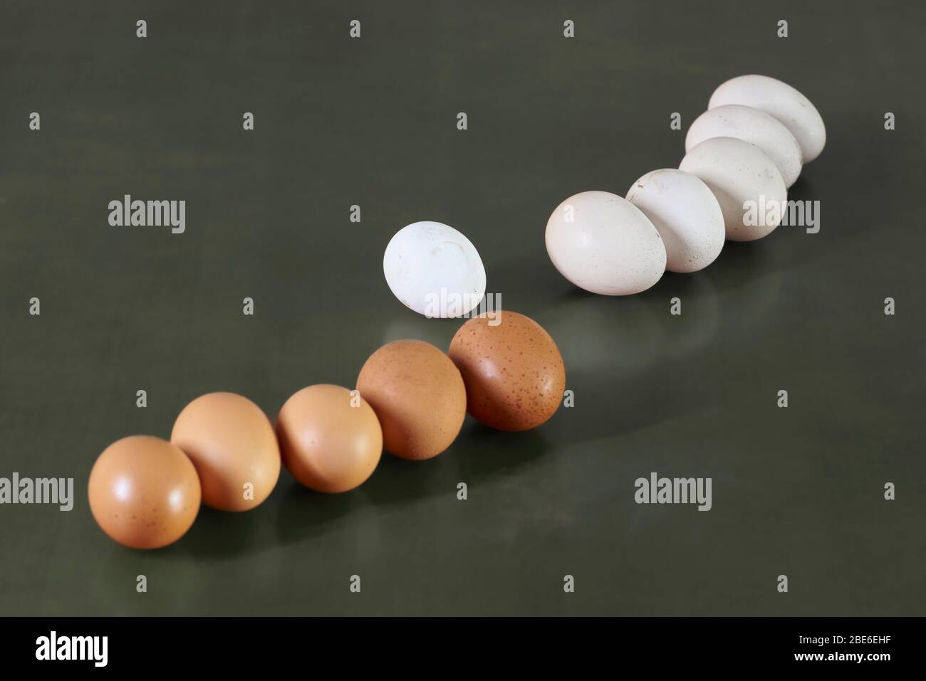 Chicken eggs in various colors breaking a repetitive chain Stock Photo ...