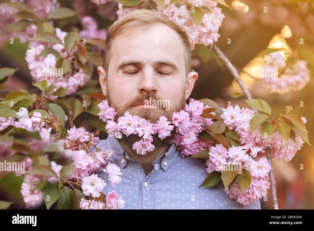 brutal bearded man in the flowering cherry trees. Handsome smiling ...
