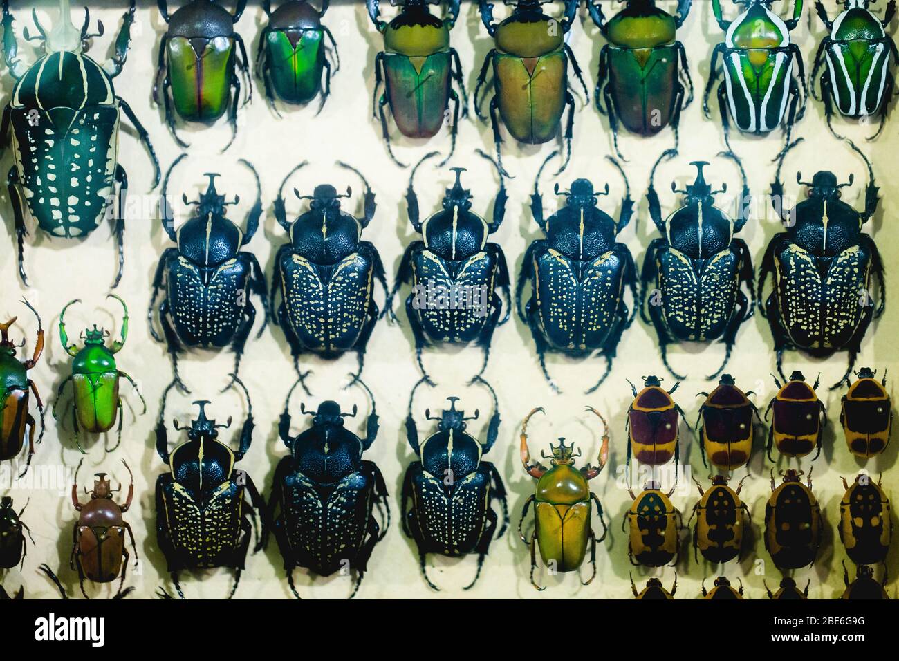 Ornamental Pins High Resolution Stock Photography and Images - Alamy