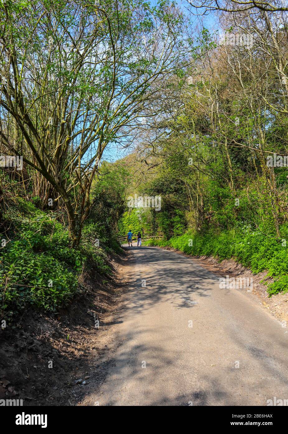 Spring walk scenery hi-res stock photography and images - Alamy