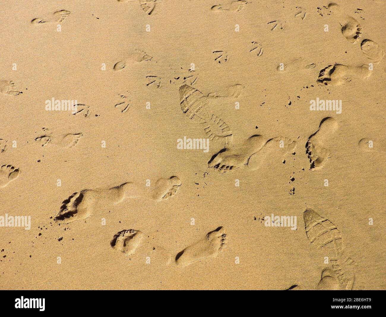 Mixed footprints in the sand, representing human bare feet, shoes ...