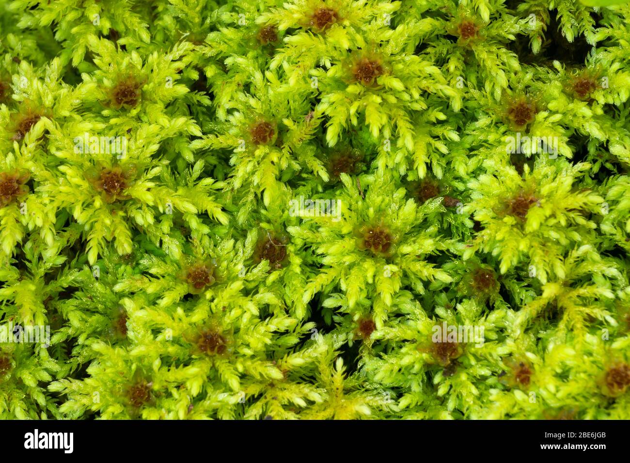 Long tom river nature trail hi-res stock photography and images - Alamy