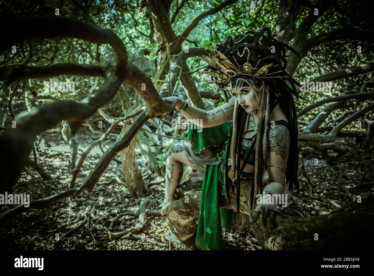 Medusa reclines in her jungle lair Stock Photo - Alamy