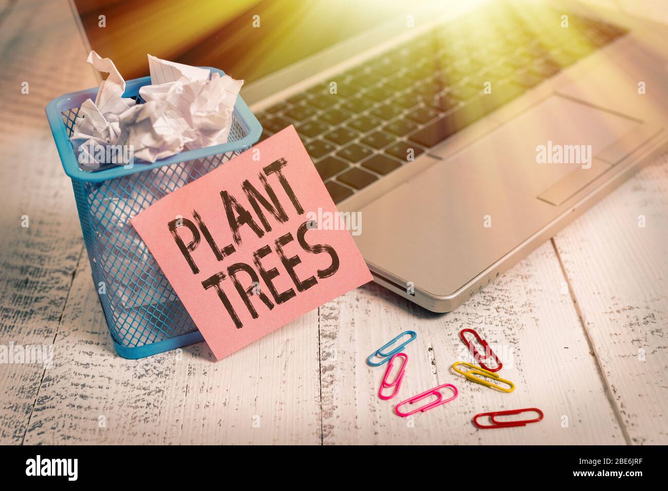 Conceptual hand writing showing Plant Trees. Concept meaning process of ...