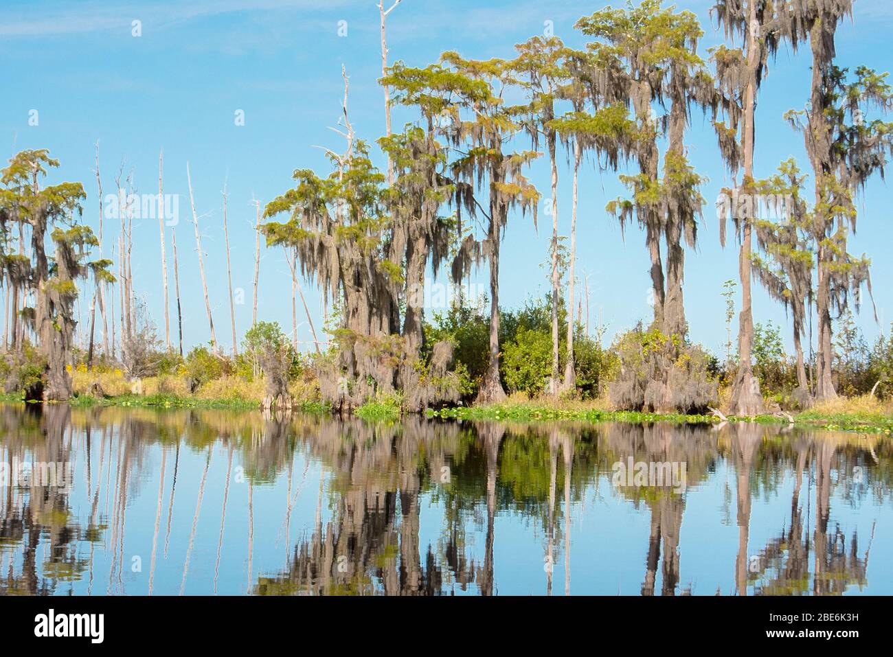 The Okefenokee Swamp on a spring day with calm reflective waters and ...