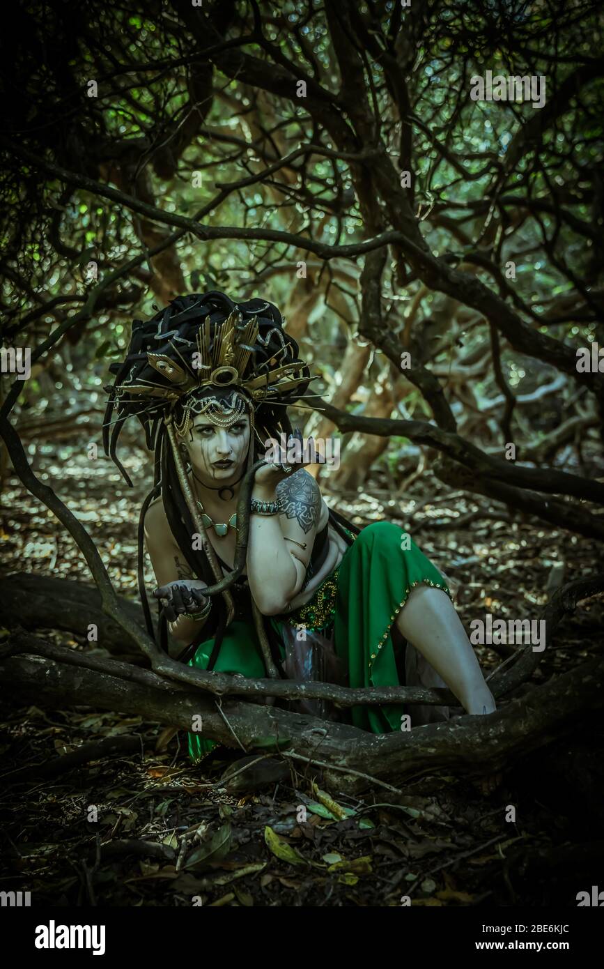 Medusa the Gorgon lurks in her jungle lair Stock Photo - Alamy