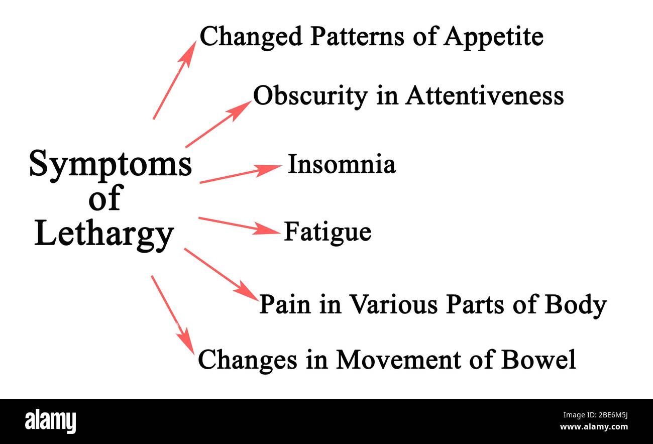 Six Symptoms of Lethargy Stock Photo - Alamy