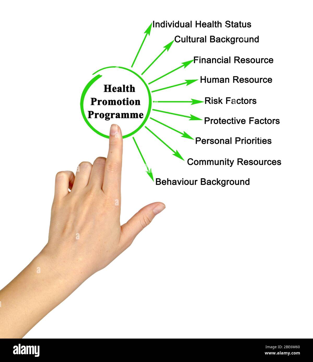 Components of Health Promotion Programme Stock Photo - Alamy