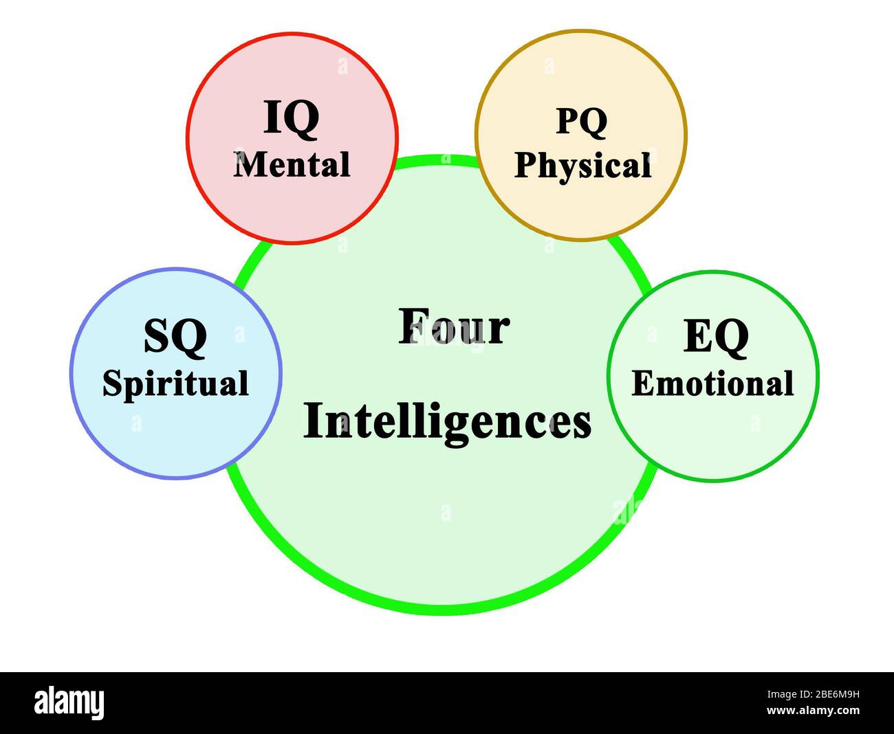 Four types of Intelligences Stock Photo - Alamy