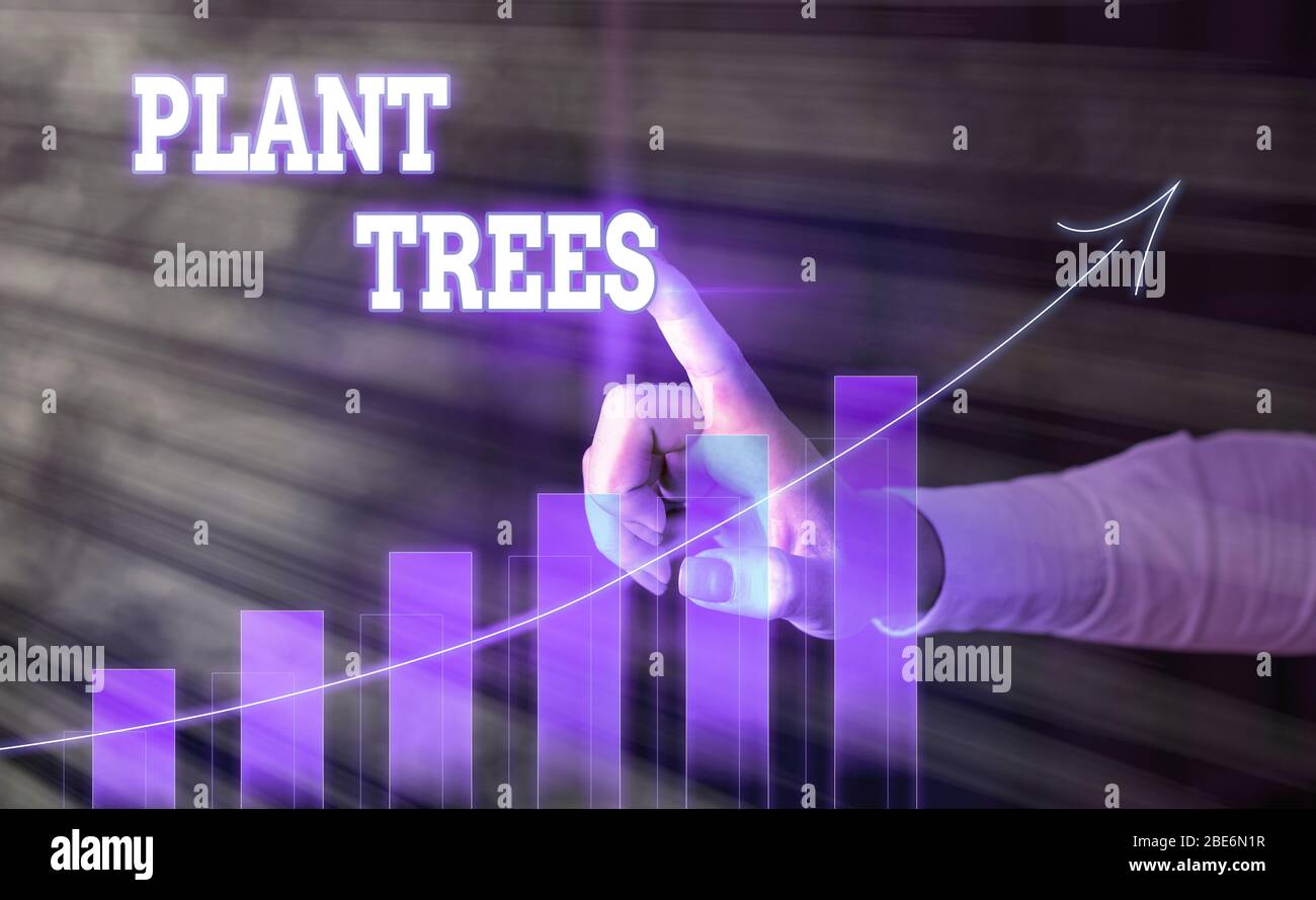 Conceptual hand writing showing Plant Trees. Concept meaning process of ...