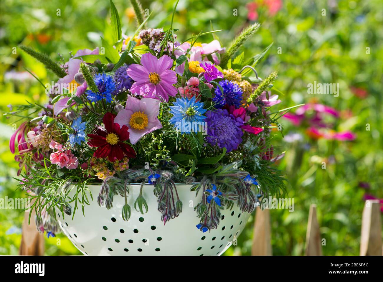 Colorful wild flower bouquet in a pot Stock Photo - Alamy
